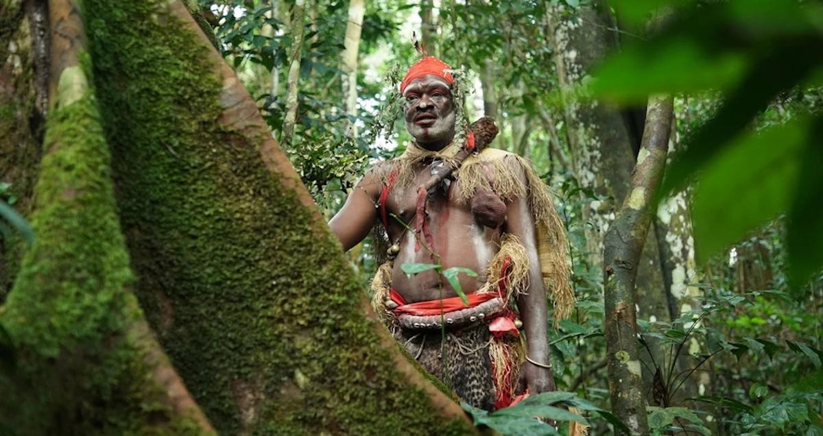 VIDÉOS - Les peuples autochtones au chevet des forêts primaires du ...