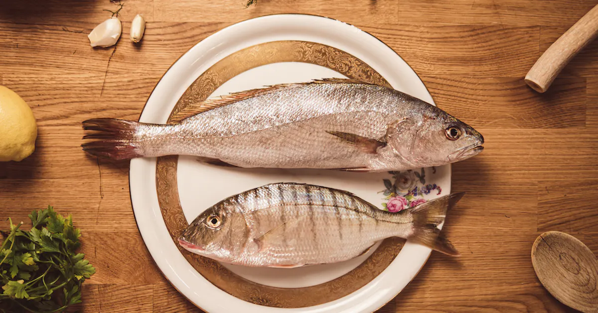 Poiscaille : la pêche durable du filet à l'assiette en circuit court ...